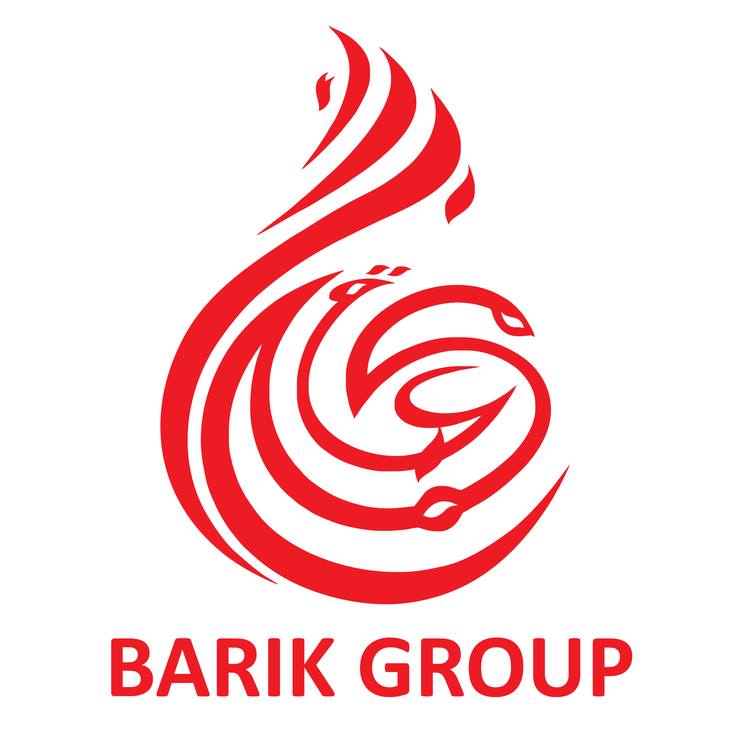Barik Group LLC - Empowering Global Solutions Since 2001