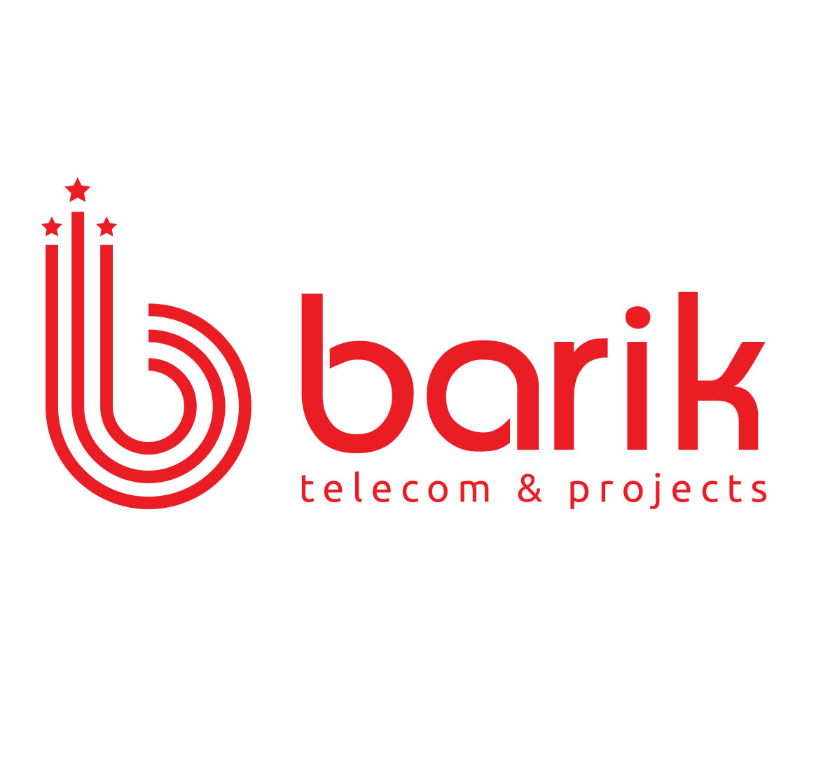 Barik Group LLC - Empowering Global Solutions Since 2001